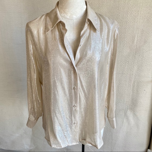Vintage | Tops | Vintage Sparkly Silk Champagne Long Sleeved Blouse ...